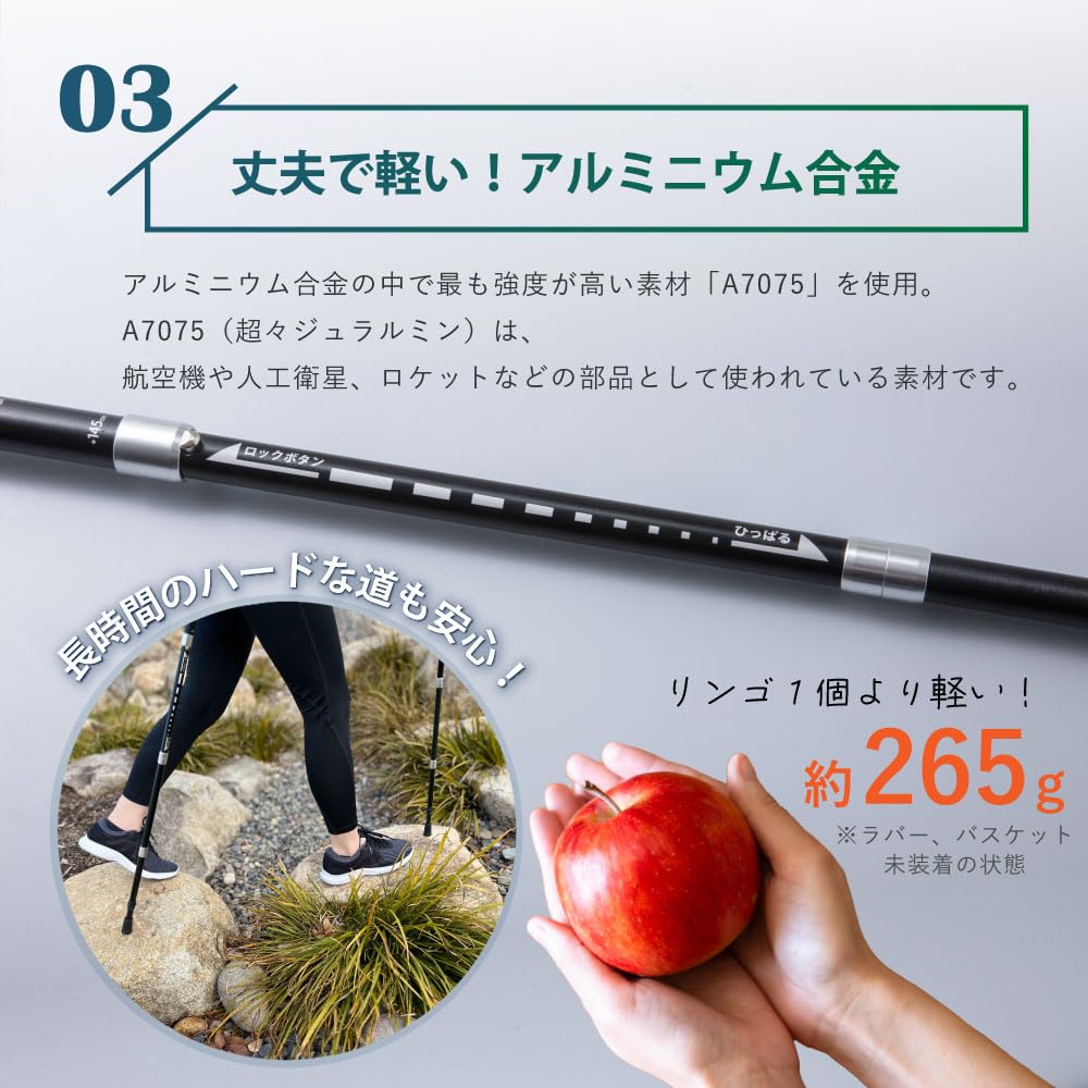 Amazon.co.jp: Sea Gull ウォーキングポール 2本セット SGマーク